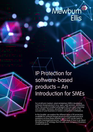 IP Protection for software-based products- An Introduction for SMEs