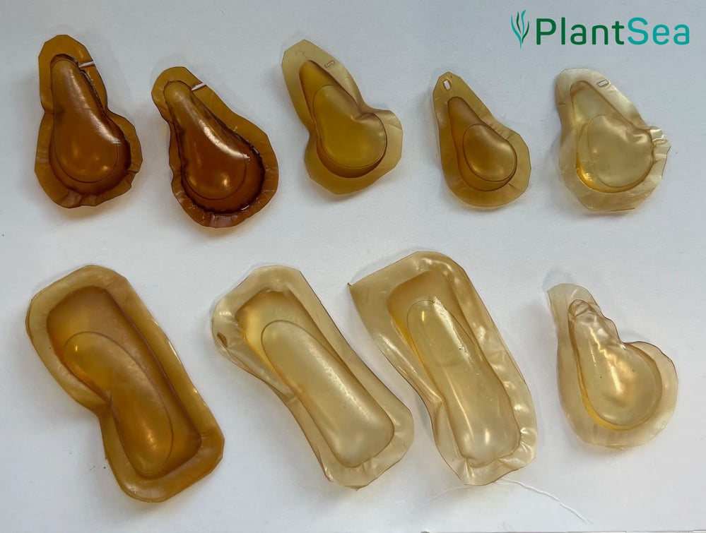Plastic Packaging Pollution: Kelp is on the Way!